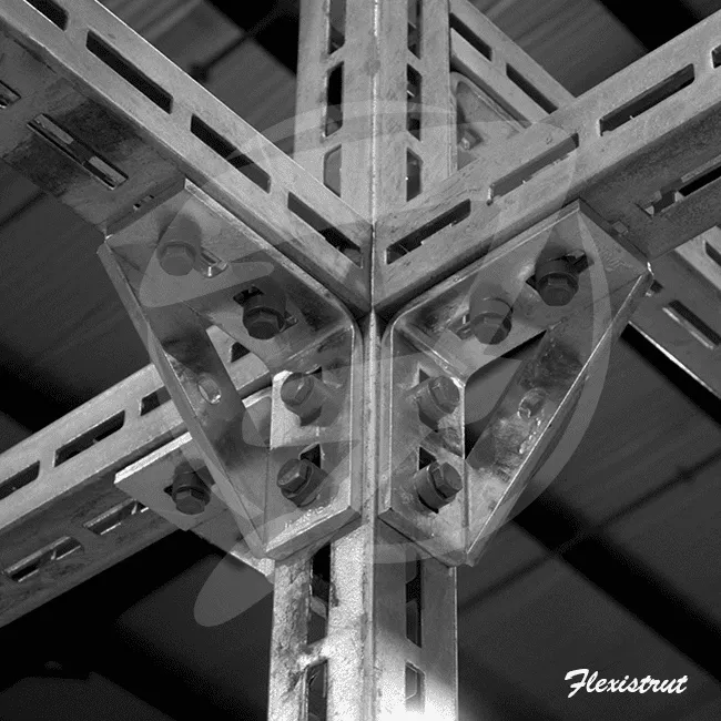 SUPA | Flexistrut