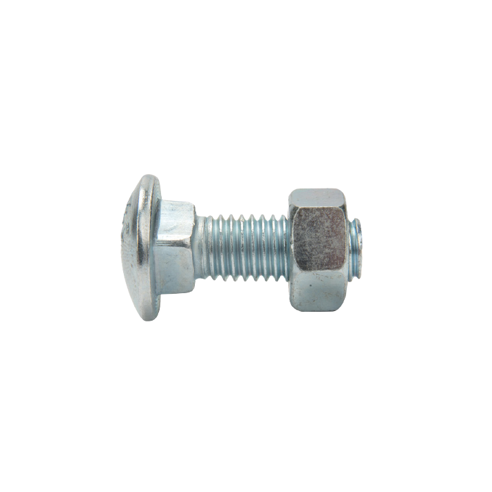 Cup Head Bolt & Nuts | Flexistrut